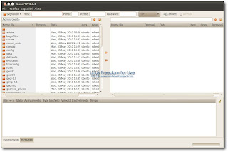 bareFTP Ottima Alternativa a Filezilla o gFTP 0.3.3 - Linux Freedom